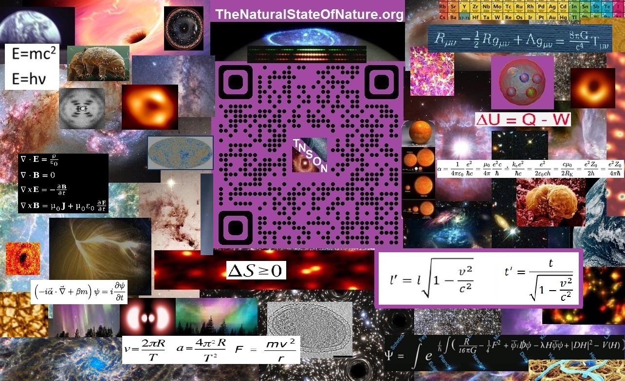 THE NATURAL STATE OF NATURE - INDEX